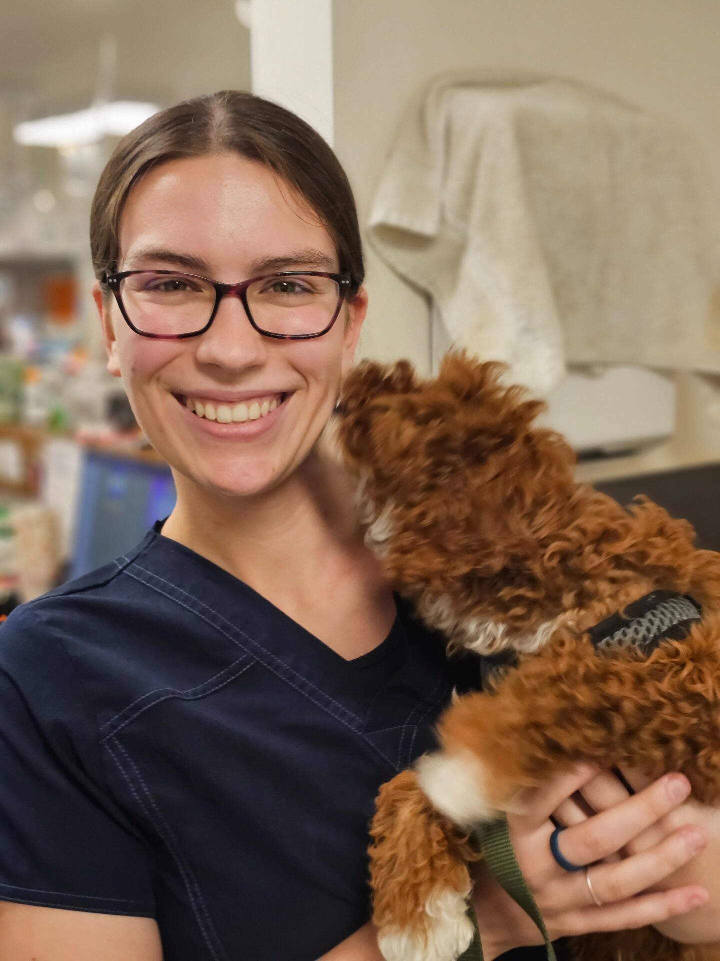 Meet Our Team - Jarrettsville Vet Center : Veterinary Clinic in ...